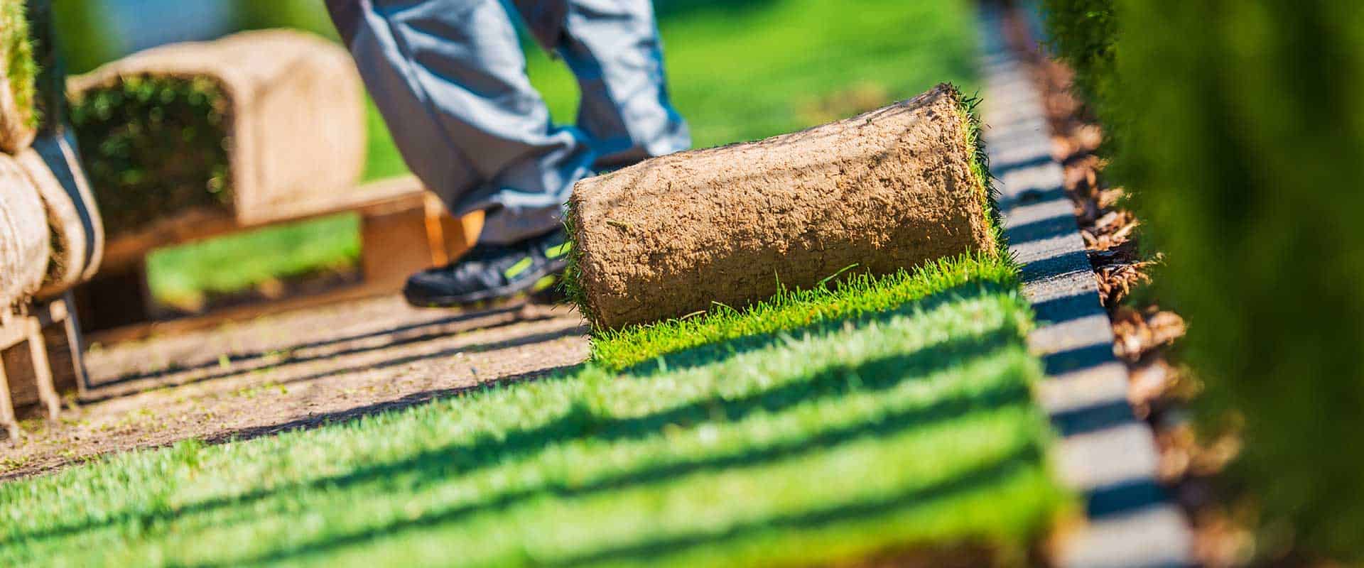 Installing Landscapes | Lawn Groomers Inc